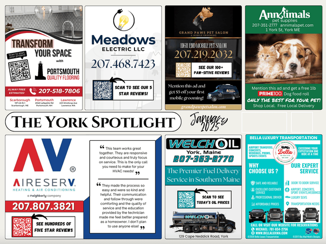 Our Local Spotlight